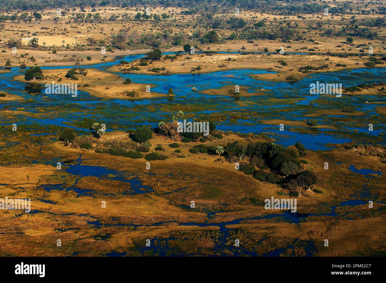 Aerial view of the great Okavango Delta, Moremi Game Reserve, Botswana ...