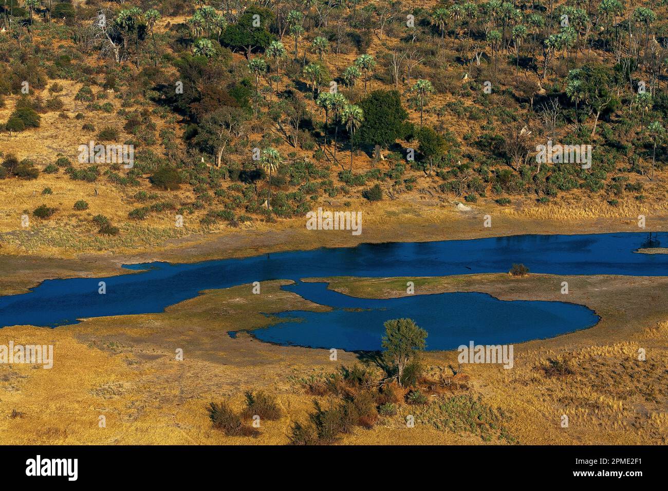 Aerial view of the great Okavango Delta, Moremi Game Reserve, Botswana ...