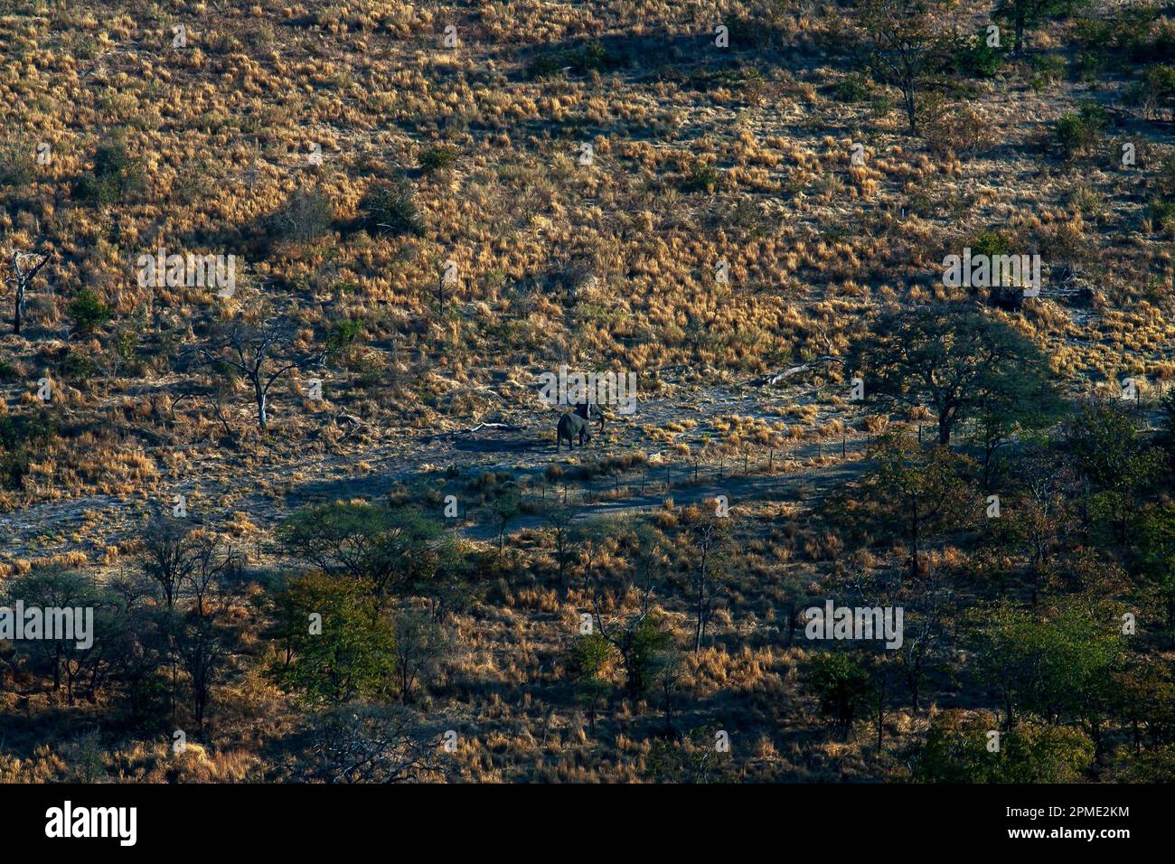 Big swamp reserve hi-res stock photography and images - Alamy