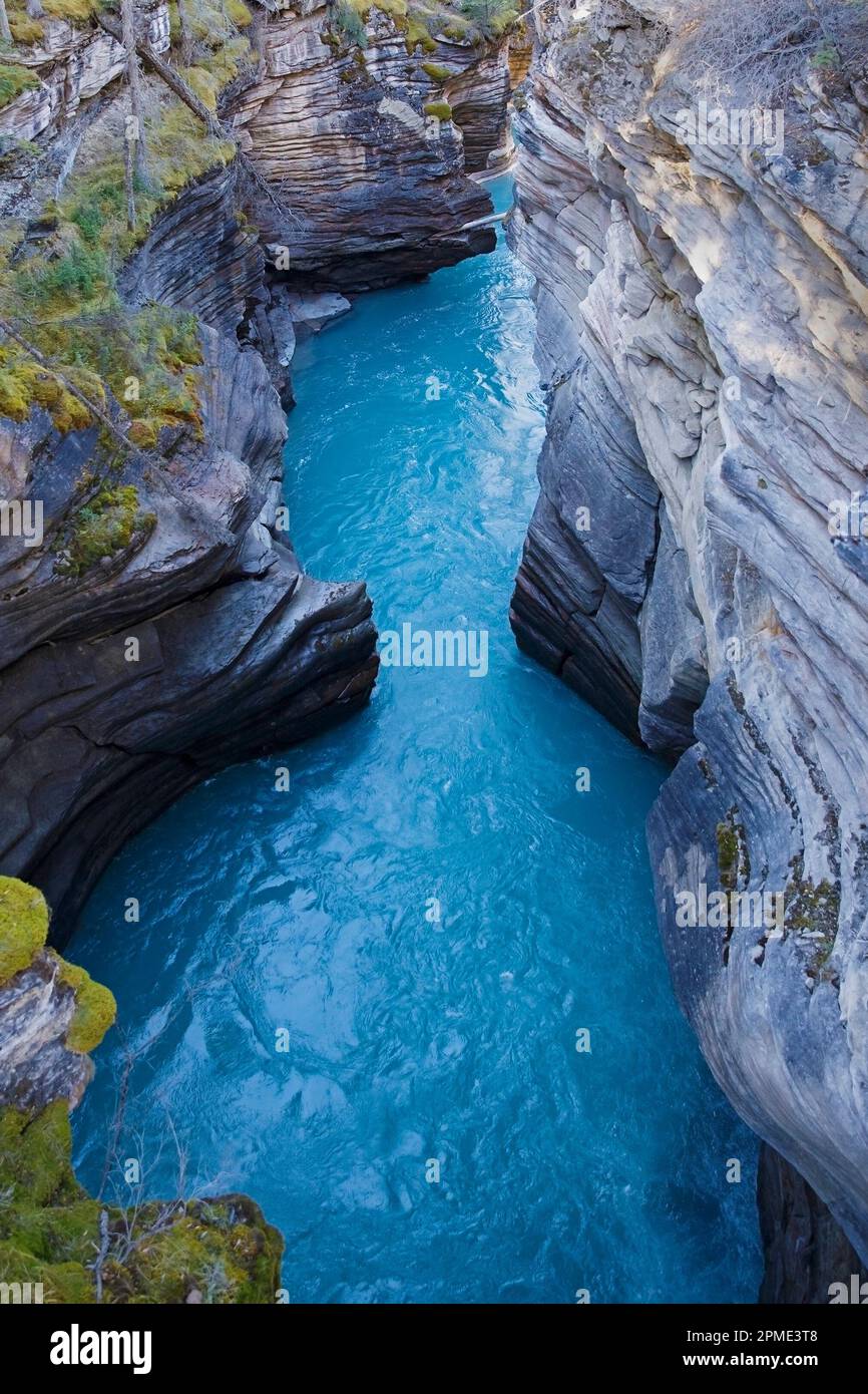 Turquoise blue water of the Athabasca River flowing through Athabasca ...