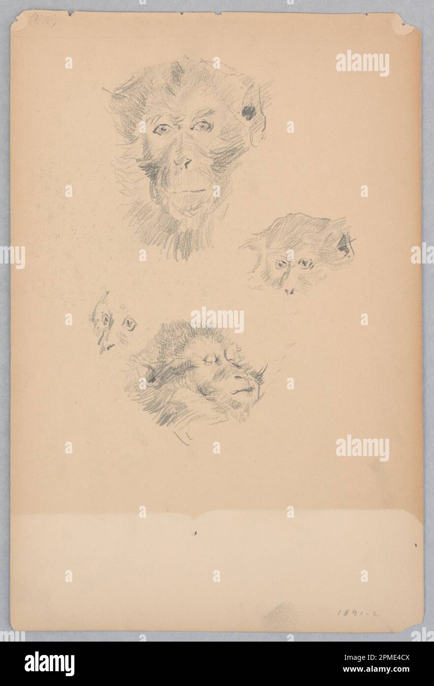 Drawing, Monkey; Robert Frederick Blum (American, 1857–1903); USA ...