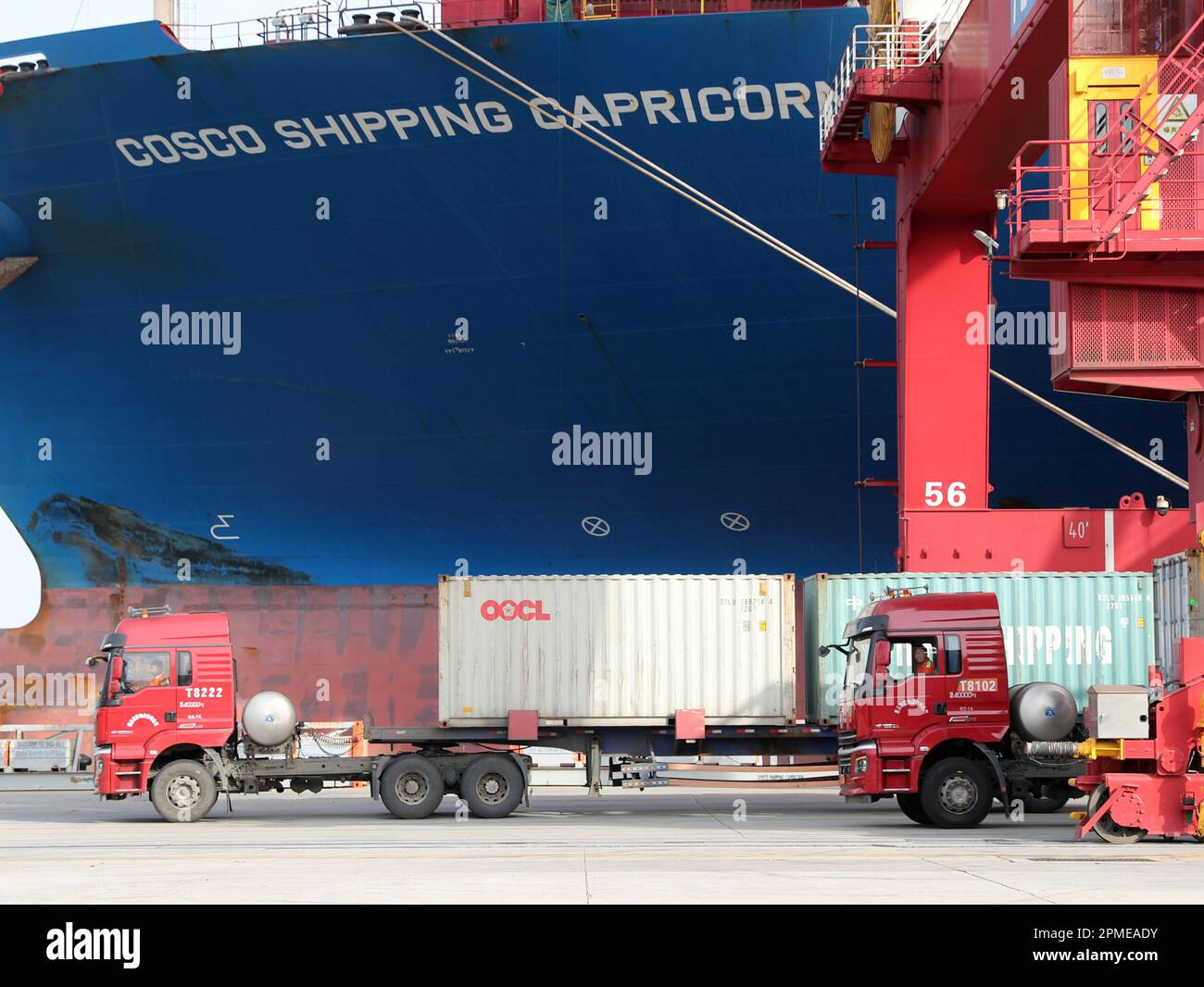 QINGDAO, CHINA - APRIL 13, 2023 - Container trucks deliver goods at the ...