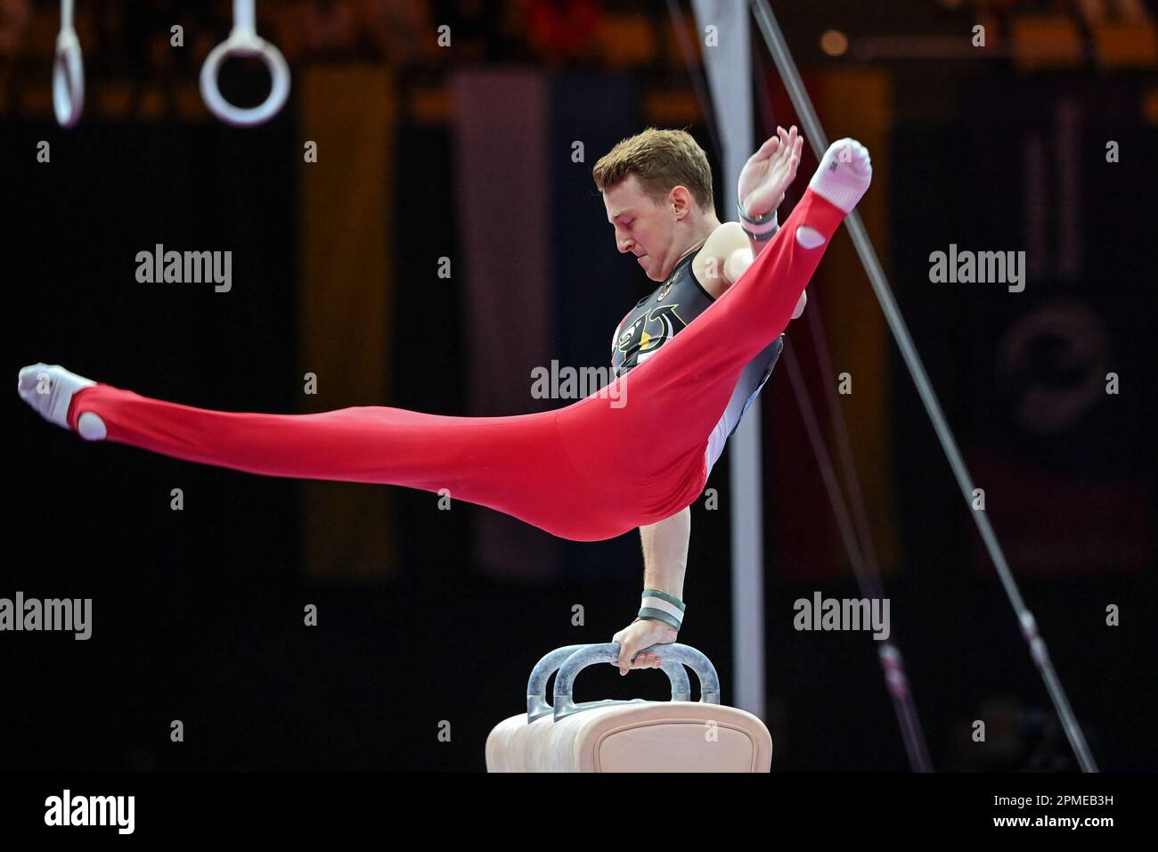Artistic Gymnastics Pommel Horse at Helen Shields blog