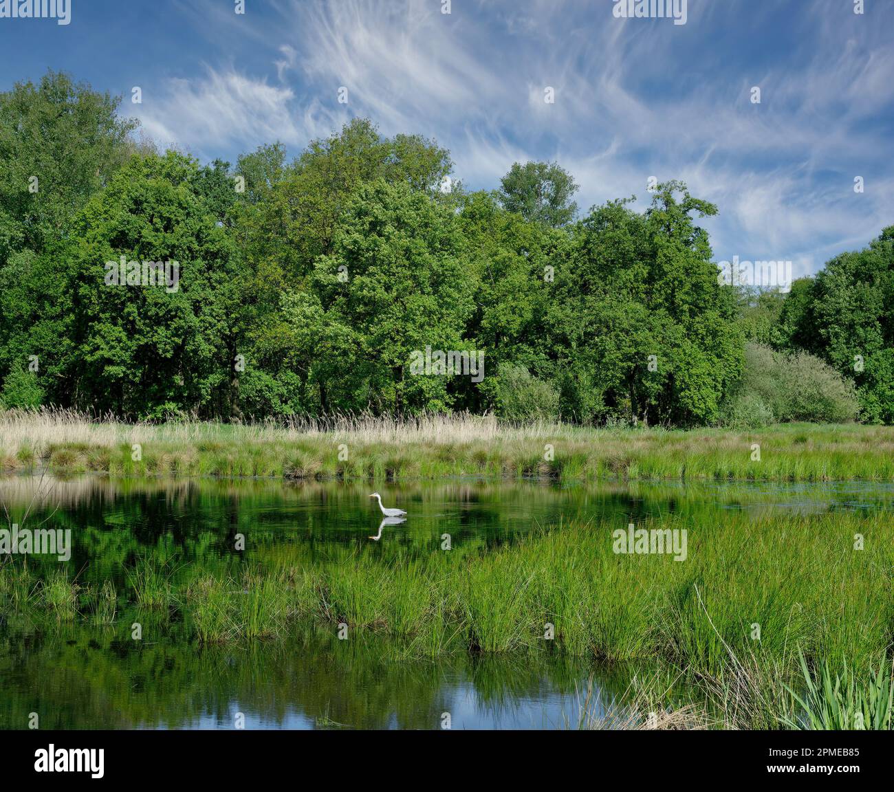 Landscape in Schwalm-Nette Nature Park,lower Rhine region,North Rhine ...