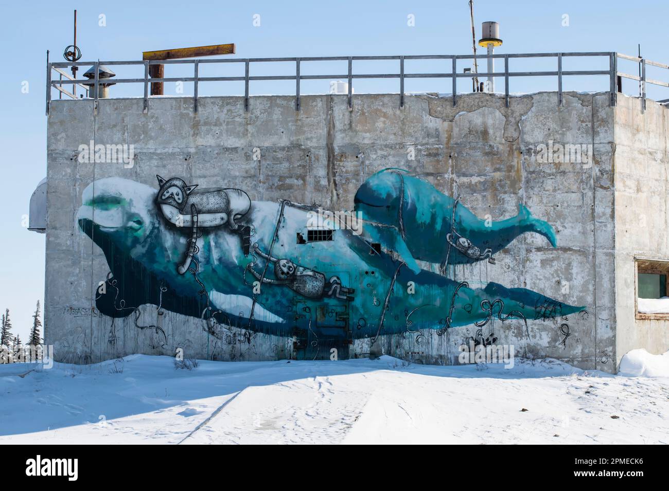 Beluga whale mural at the decommissioned rocket range in Churchill ...