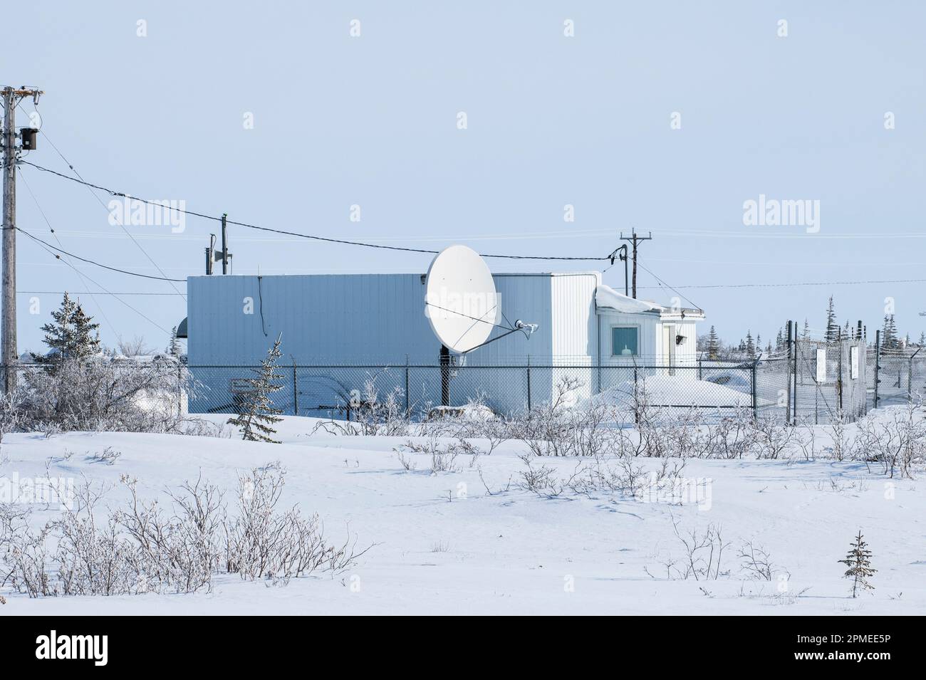 Satellite dish tree hi-res stock photography and images - Alamy
