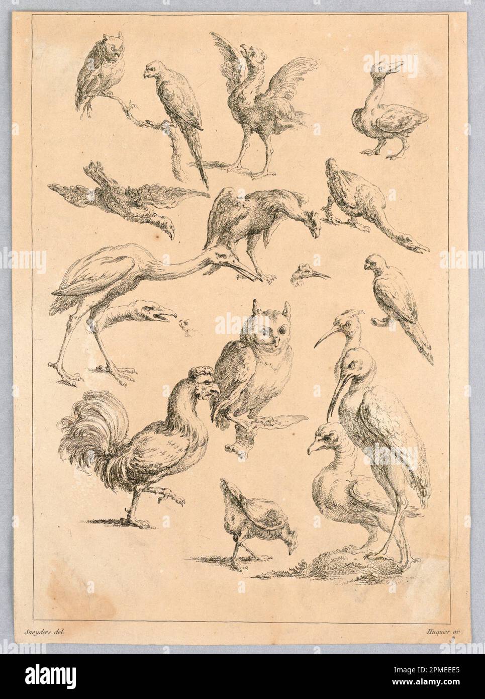Flemish print maker hi-res stock photography and images - Alamy