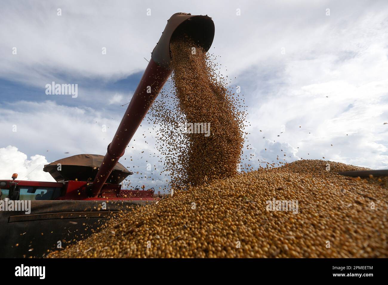 Goias. 12th Apr, 2023. This photo taken on April 12, 2023 shows an ...