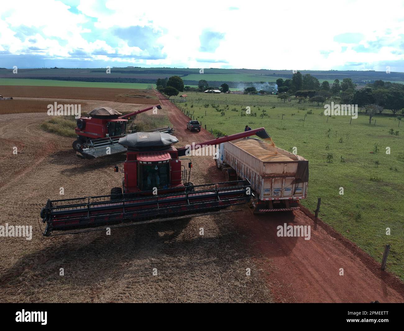 Goias. 12th Apr, 2023. This photo taken on April 12, 2023 shows an ...