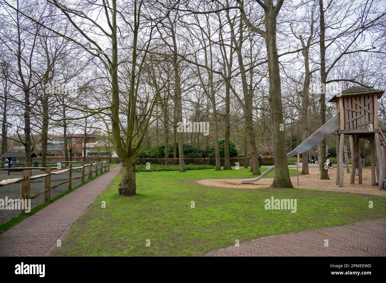 Tall trees and green meadows at the public flower garden Keukenhof a ...