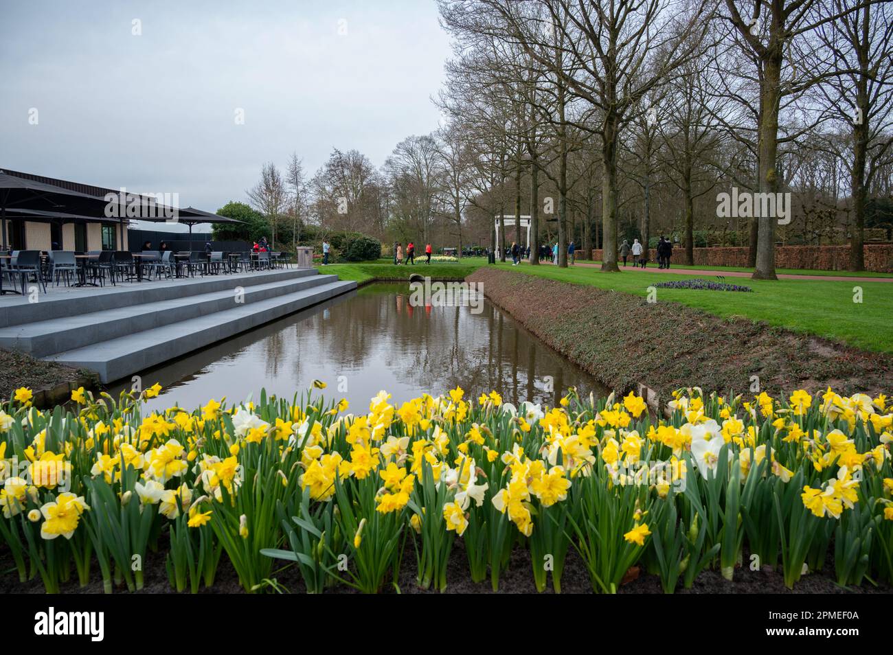 Blooming colorful hyacinth flowerbed in public flower garden Keukenhof ...
