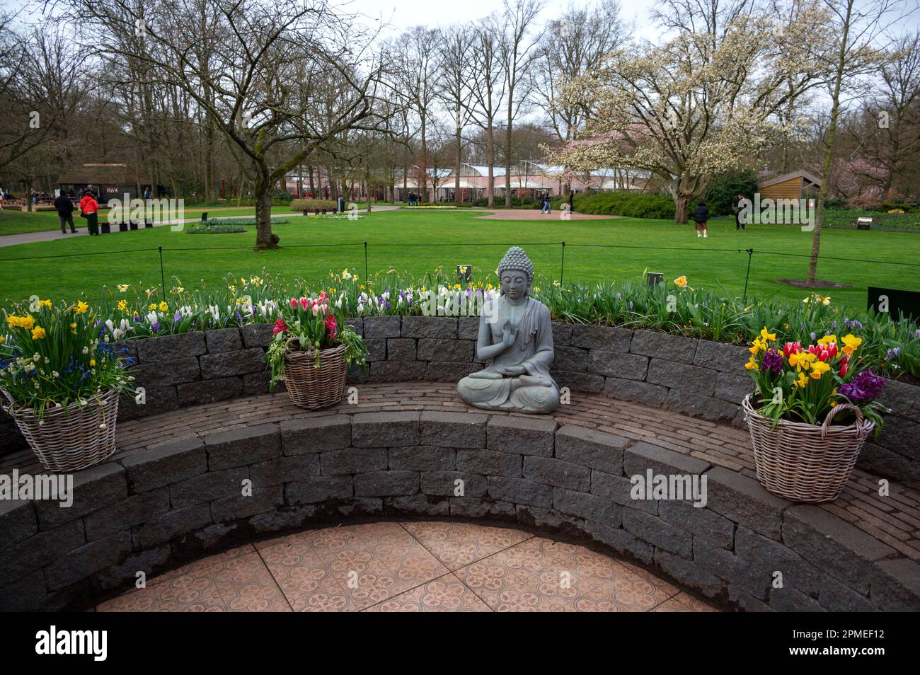 Beautiful arrangement of multicolored tulips in public flower garden ...