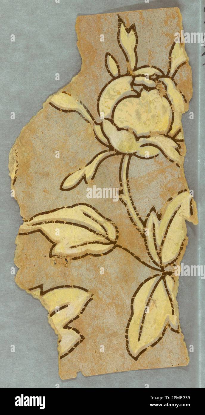 3 1 x 8 7 x 21 7 cm hi-res stock photography and images - Alamy