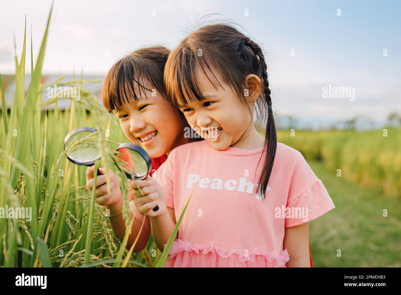 Portrait of emotional face expression of smiling and laughing of Asian ...