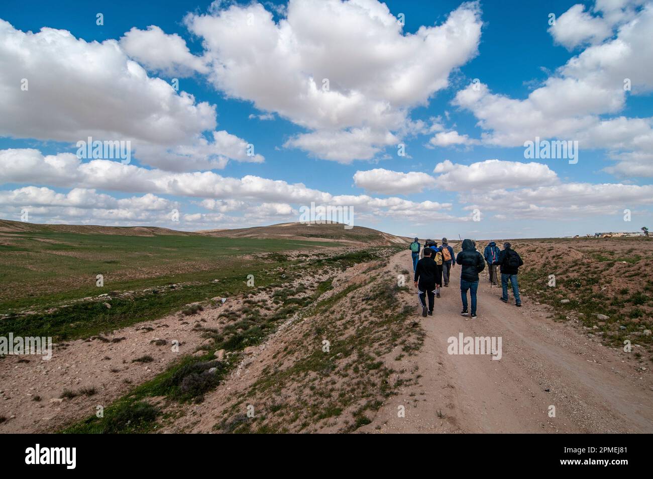 a group hiking among the Wheat field in the northern Negev Desert ...