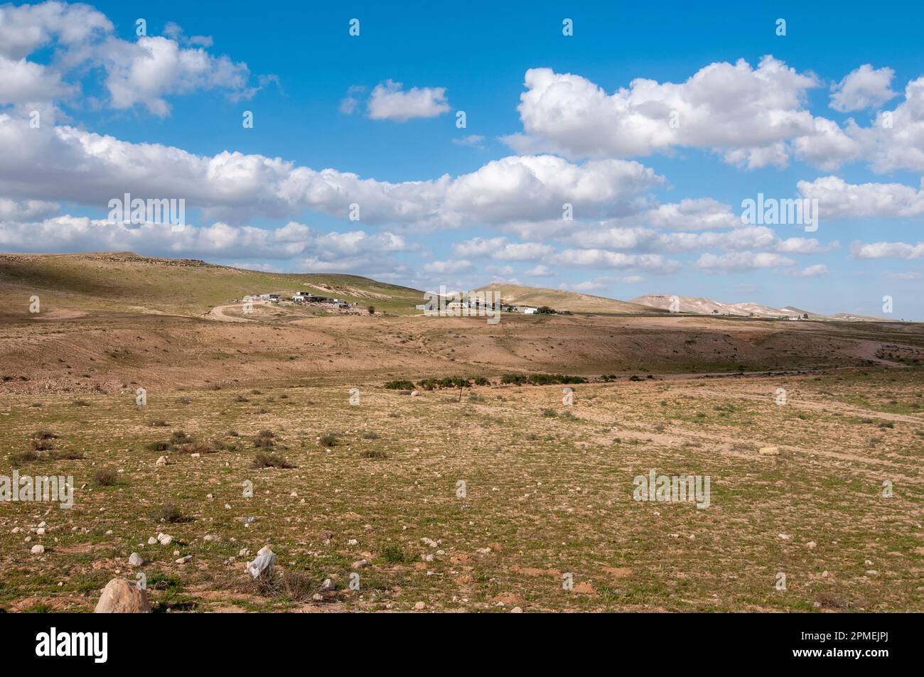 Wheat field in the northern Negev Desert, Israel. Photographed in March ...