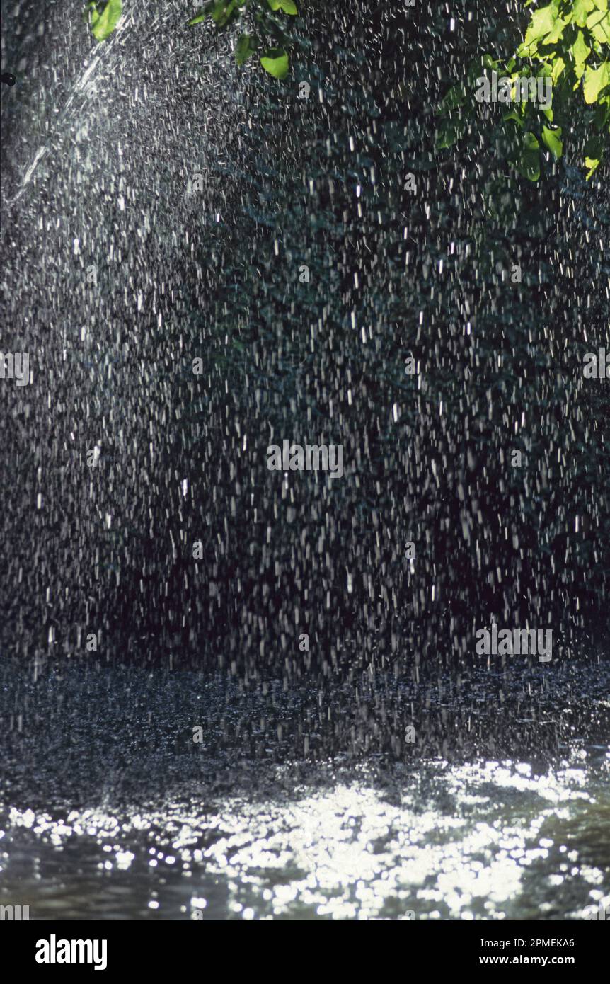 Drizzling rain falling drops water hi-res stock photography and images ...