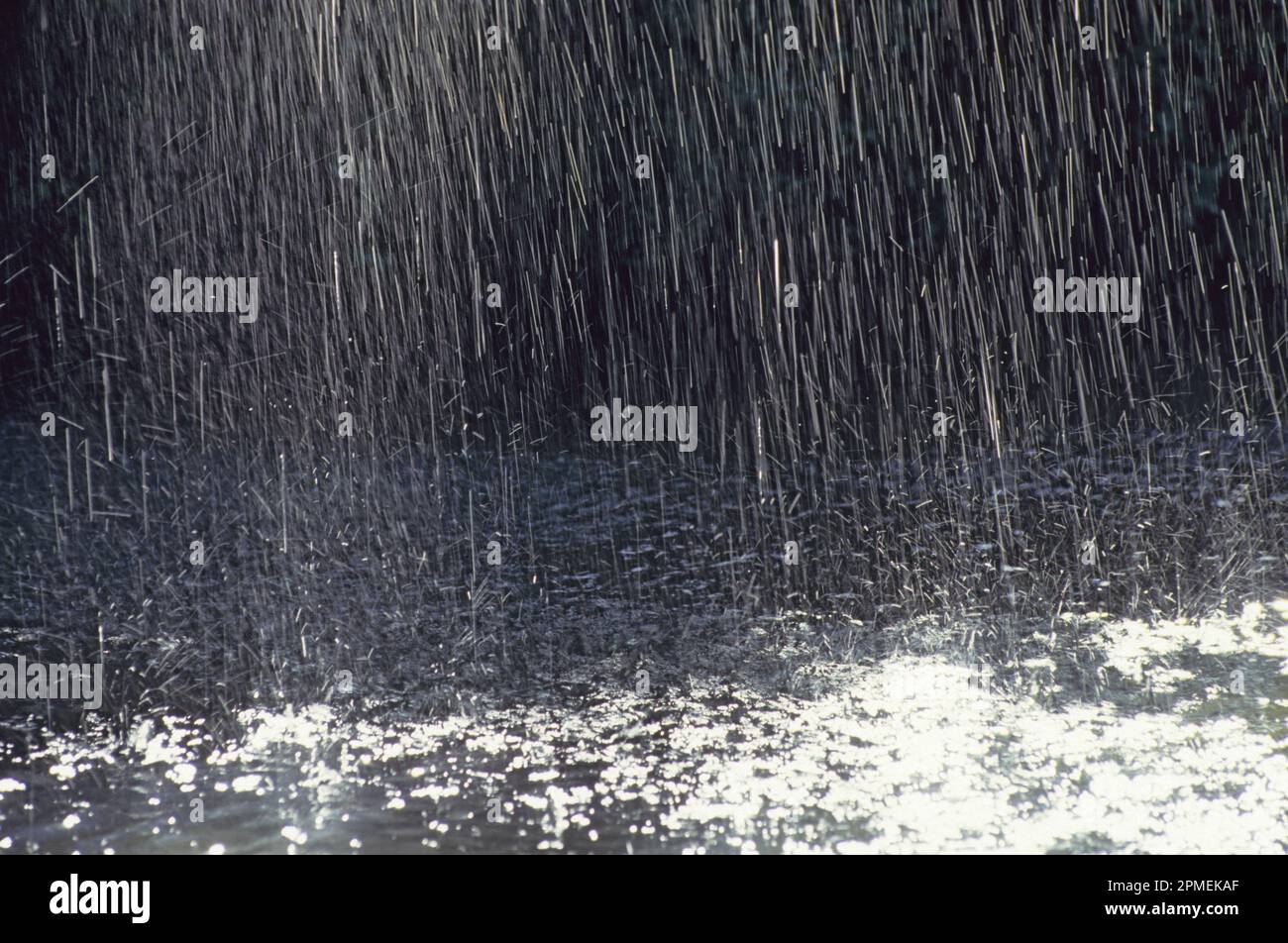 Rain drops photographed in Israel in Winter Stock Photo - Alamy