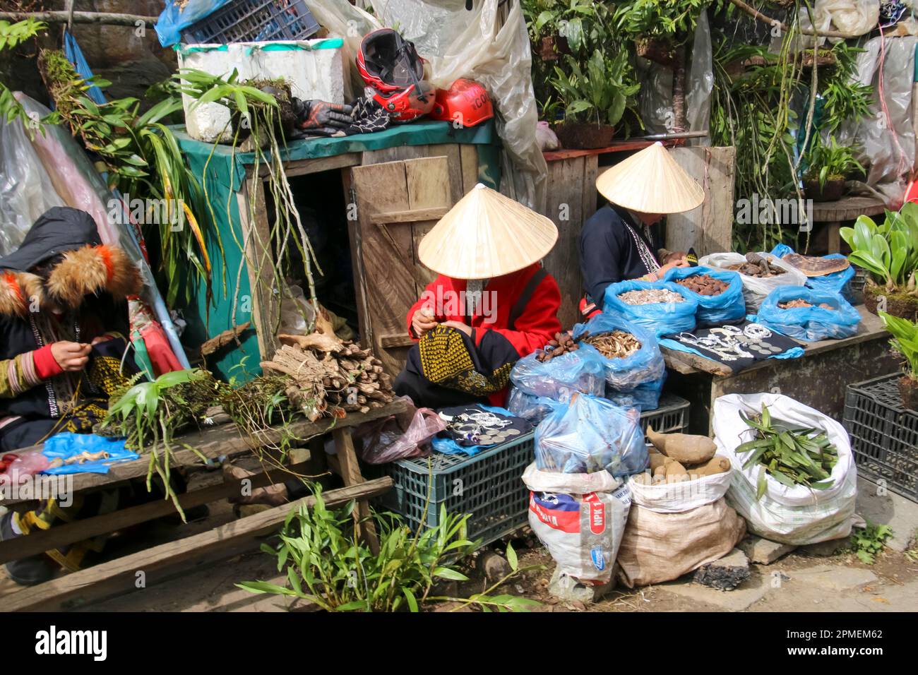 Vietnam, Bac Ha Market, Flower Hmong women in traditional dress The ...