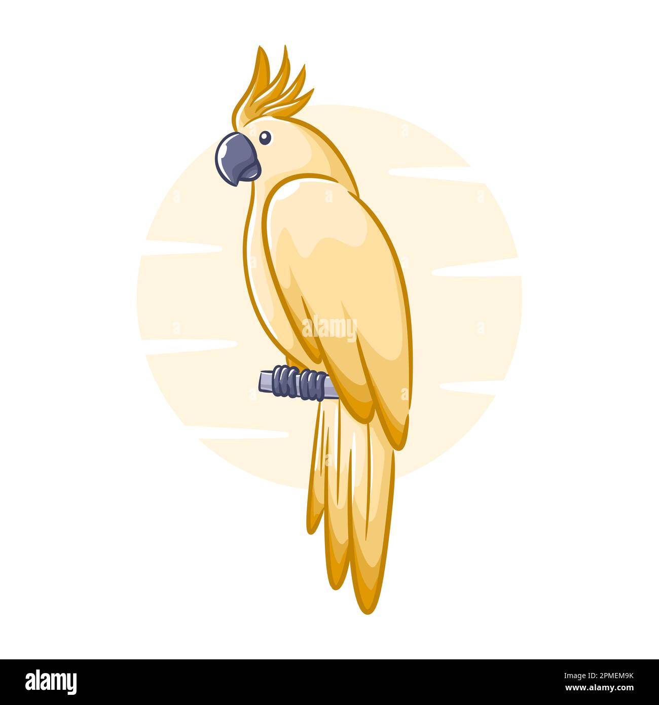 Vector hand drawn parrots cartoon character Stock Vector Image & Art ...