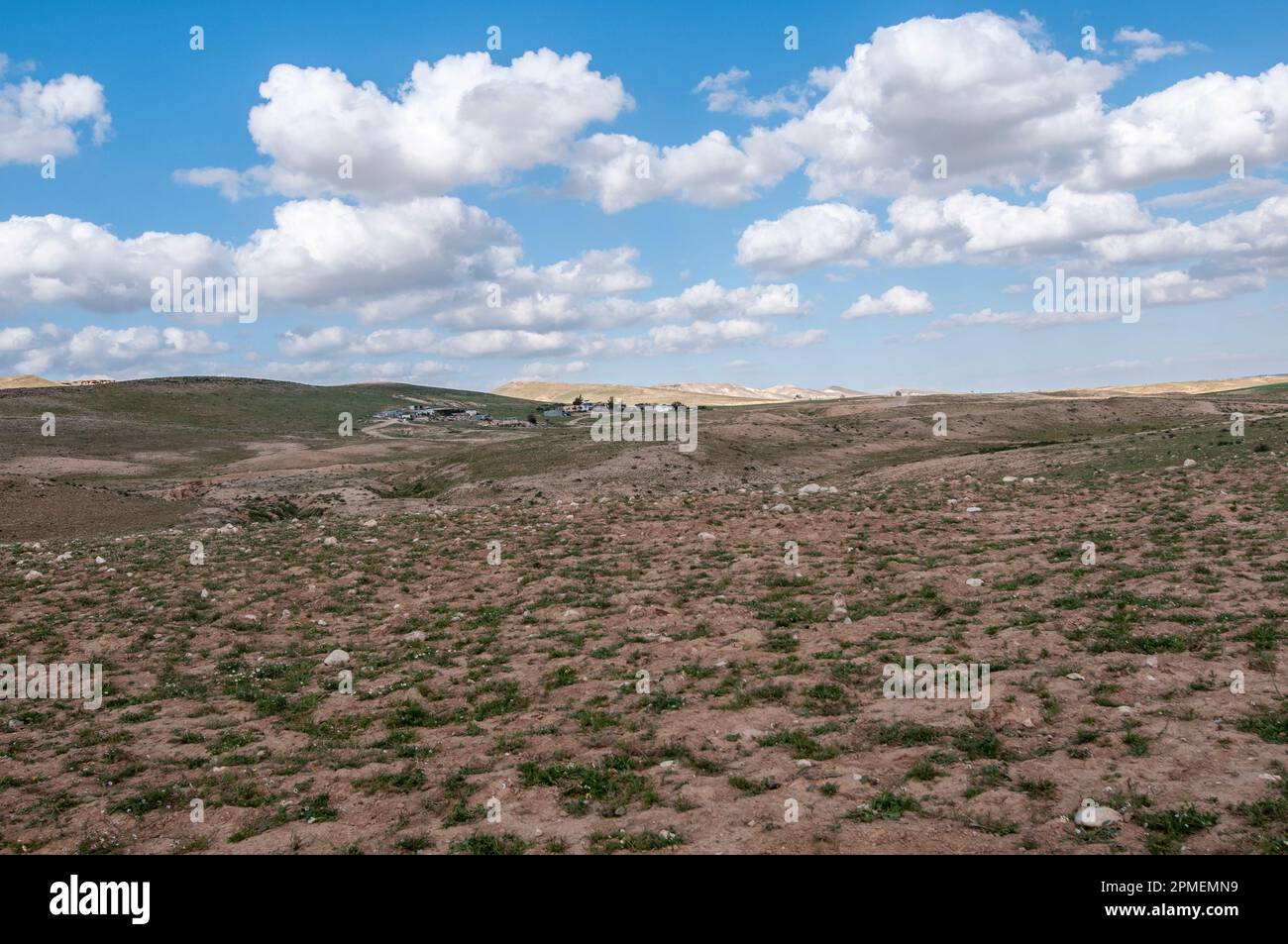 Wheat field in the northern Negev Desert, Israel. Photographed in March ...