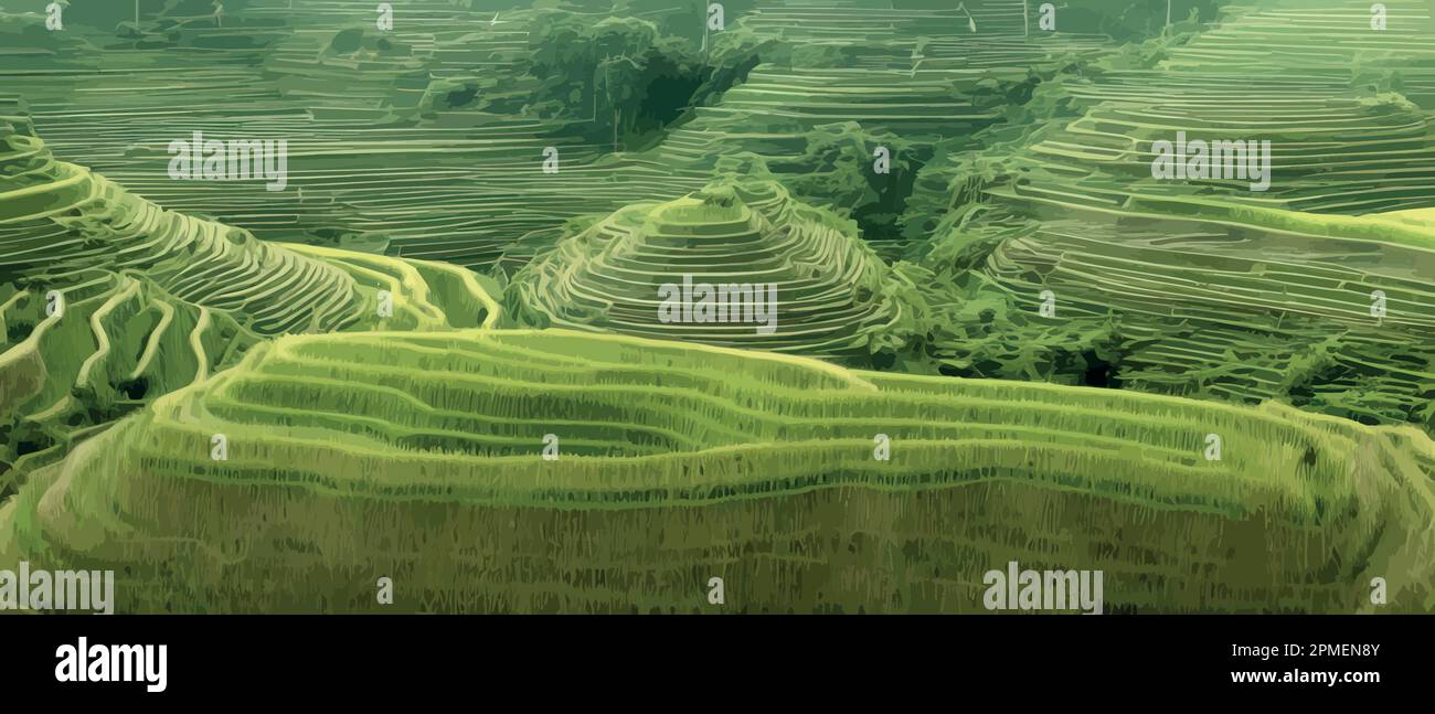 Rice field terraced Stock Vector Images - Alamy