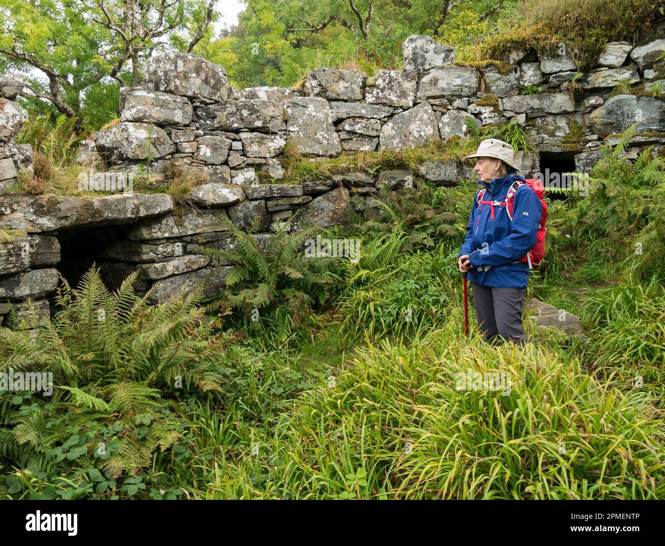 Woman looking at overgrown, ancient stone walls of Totaig Broch ...