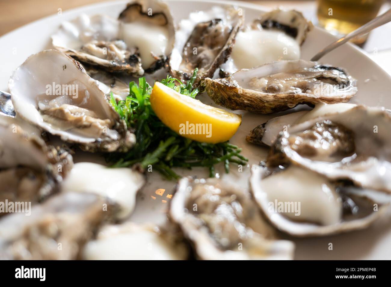 Fresh oysters on a tray with ice, lemon and algae seaweed salad Stock ...