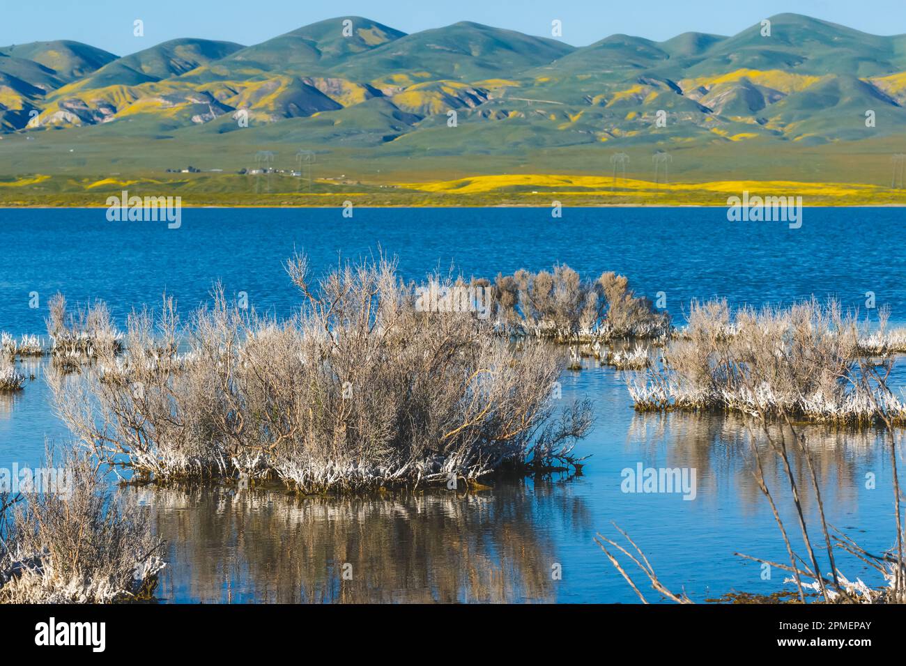 Soda Lake,the largest remaining natural alkali wetland in southern ...