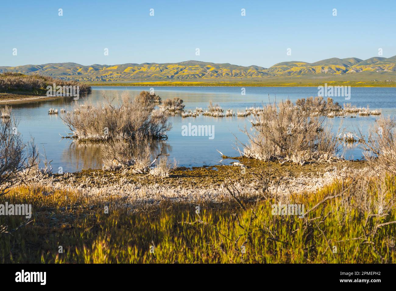Soda Lake,the largest remaining natural alkali wetland in southern ...