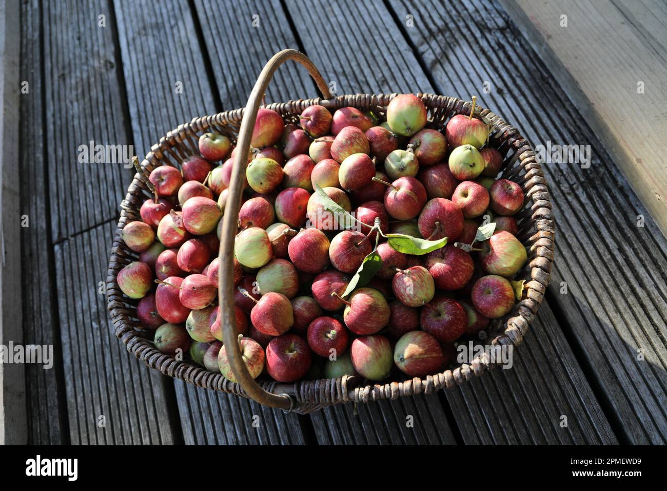 Grown in the isle of ely hi-res stock photography and images - Alamy