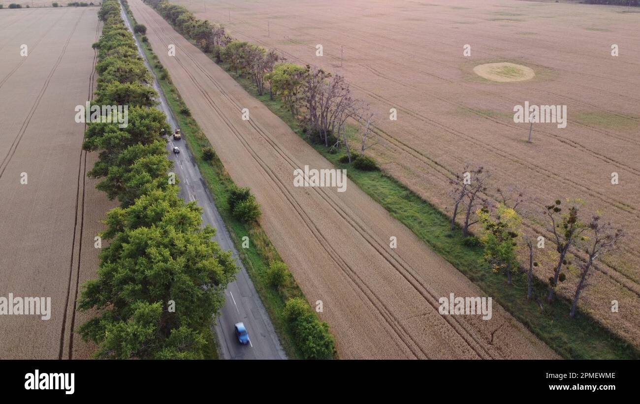 Highway road, driving cars and trees between the areas sown and ripened ...
