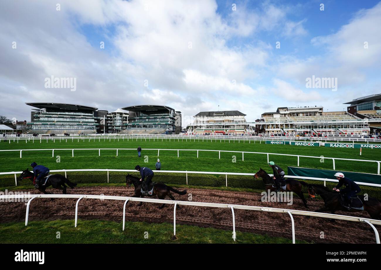 Horses from Willie Mullins stables on the gallops during day one of the ...