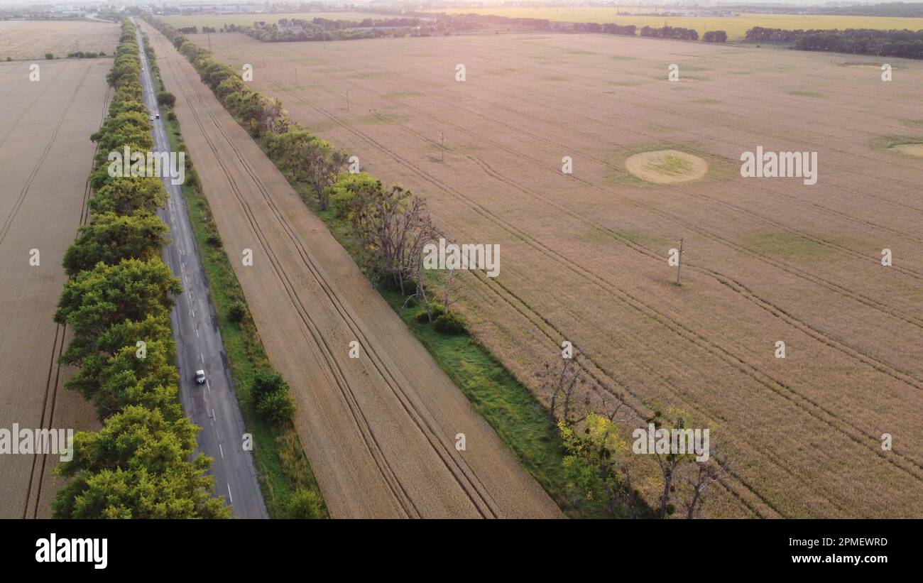 Beautiful panoramic landscape agricultural fields of ripe wheat,road ...