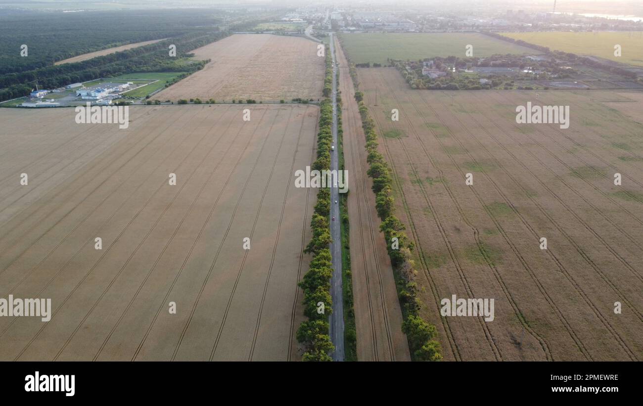 Beautiful panoramic landscape agricultural fields of ripe wheat,road ...