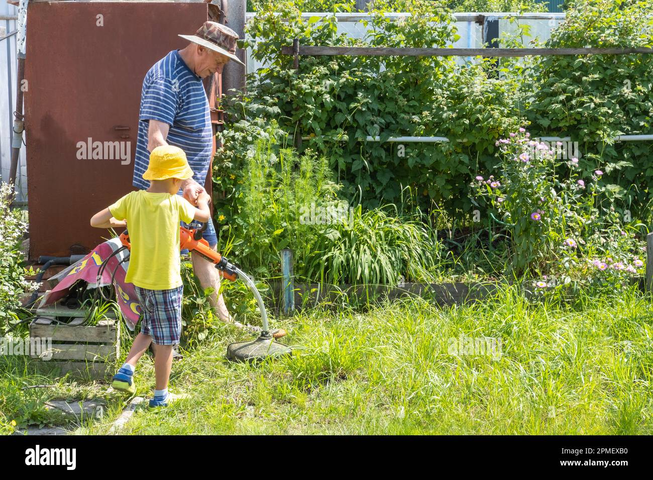 A man in a hat and a child with an electric lawn mower mowing the lawn ...