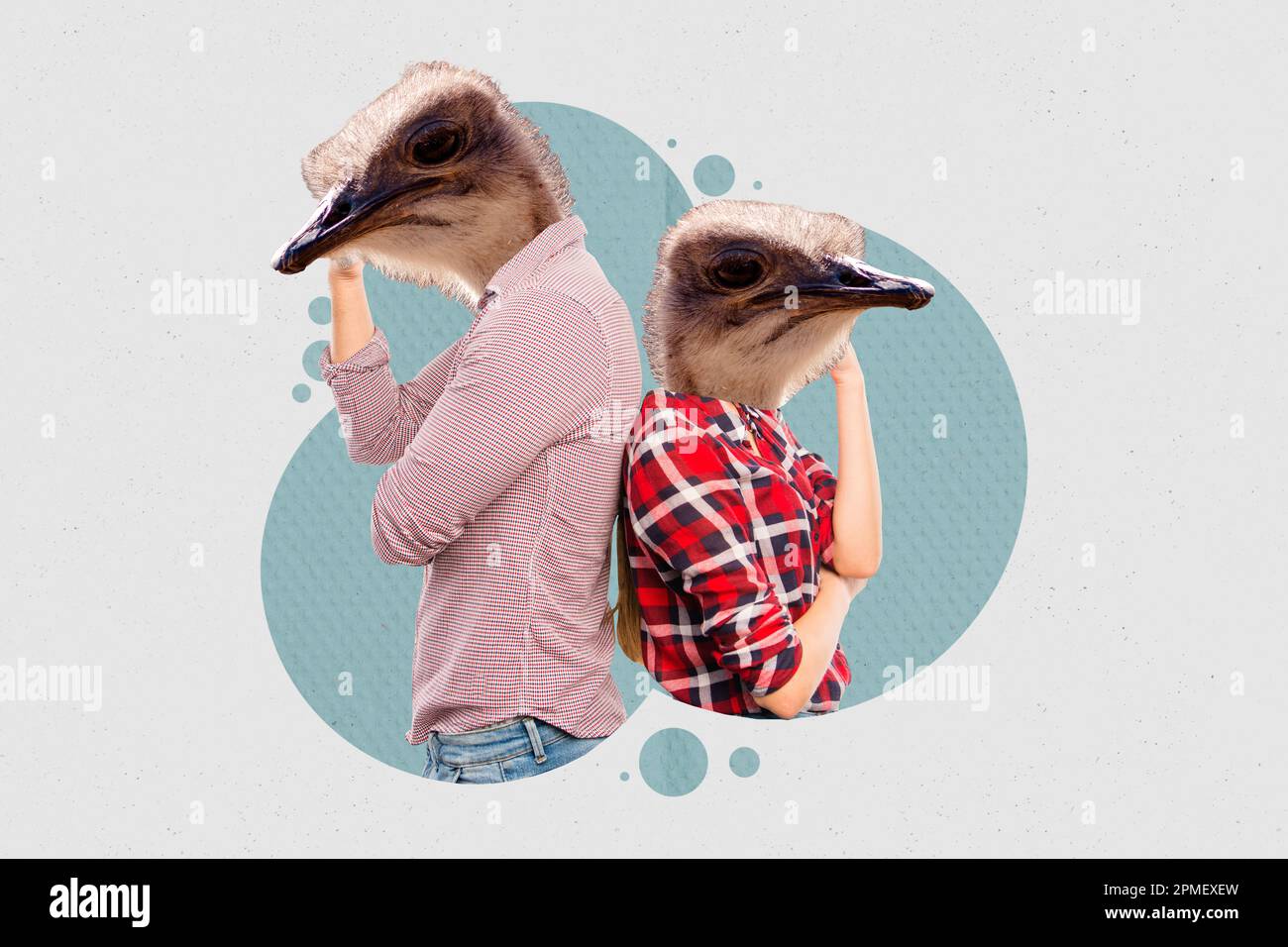 Template magazine collage of two people spouses with bird face have ...