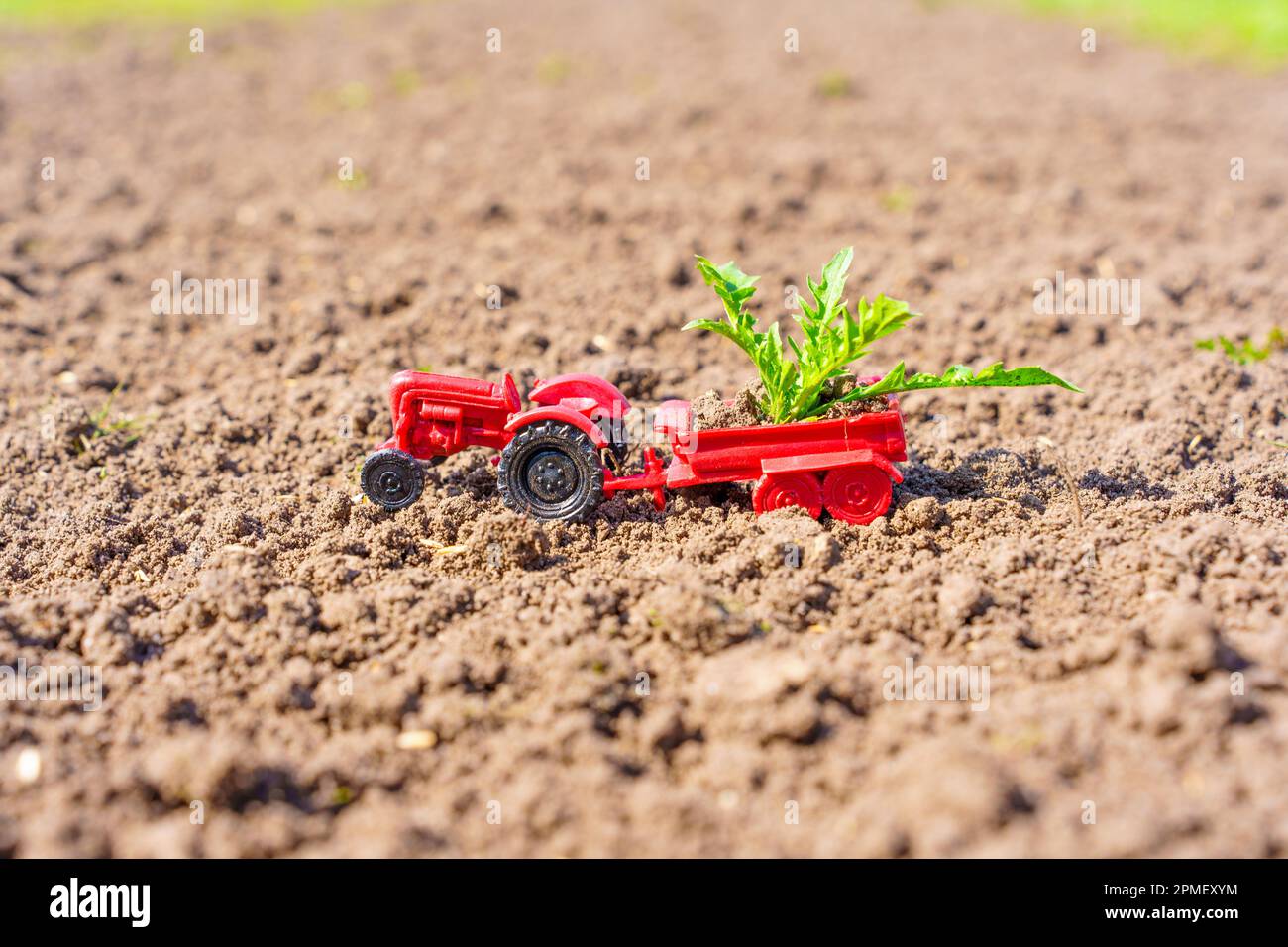 Red toy tractor standing on freshly plowed soil, with fresh plant ...