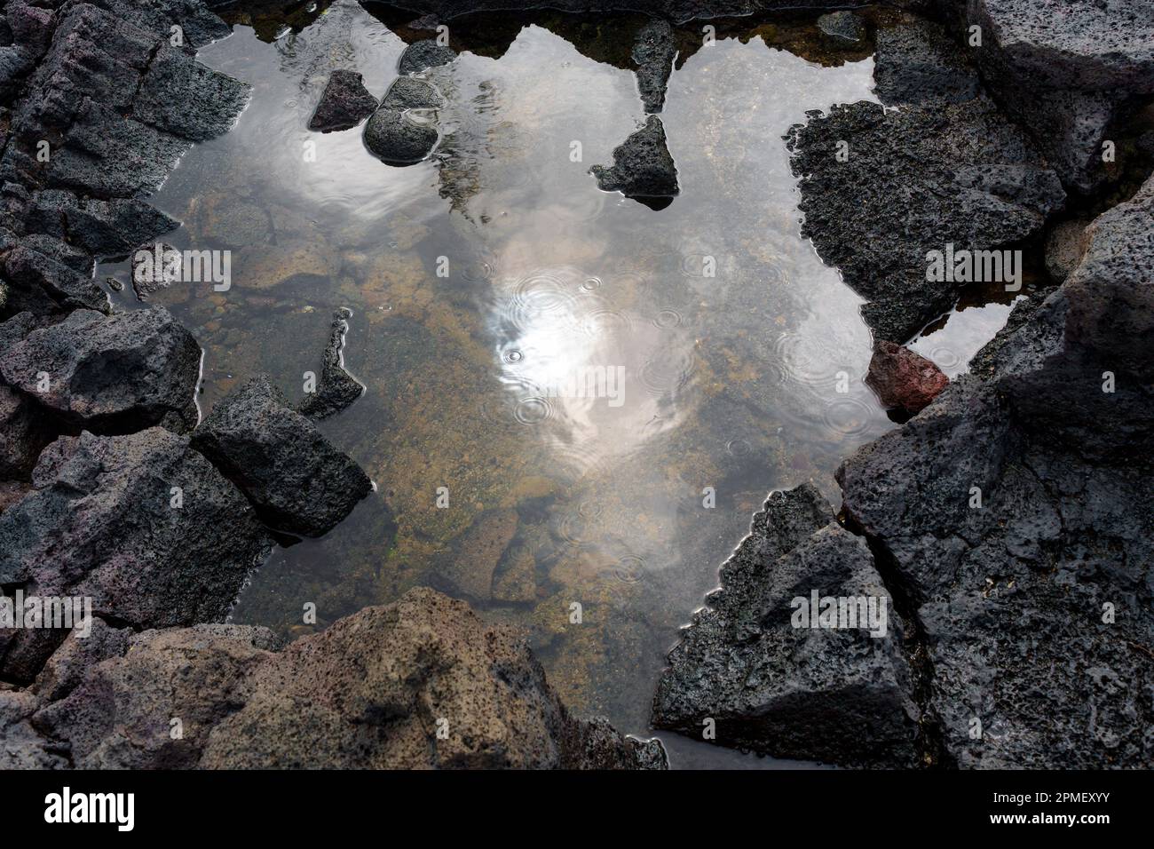 Rugged beauty of the volcanic coastline of Hawaii as the sun's rays ...