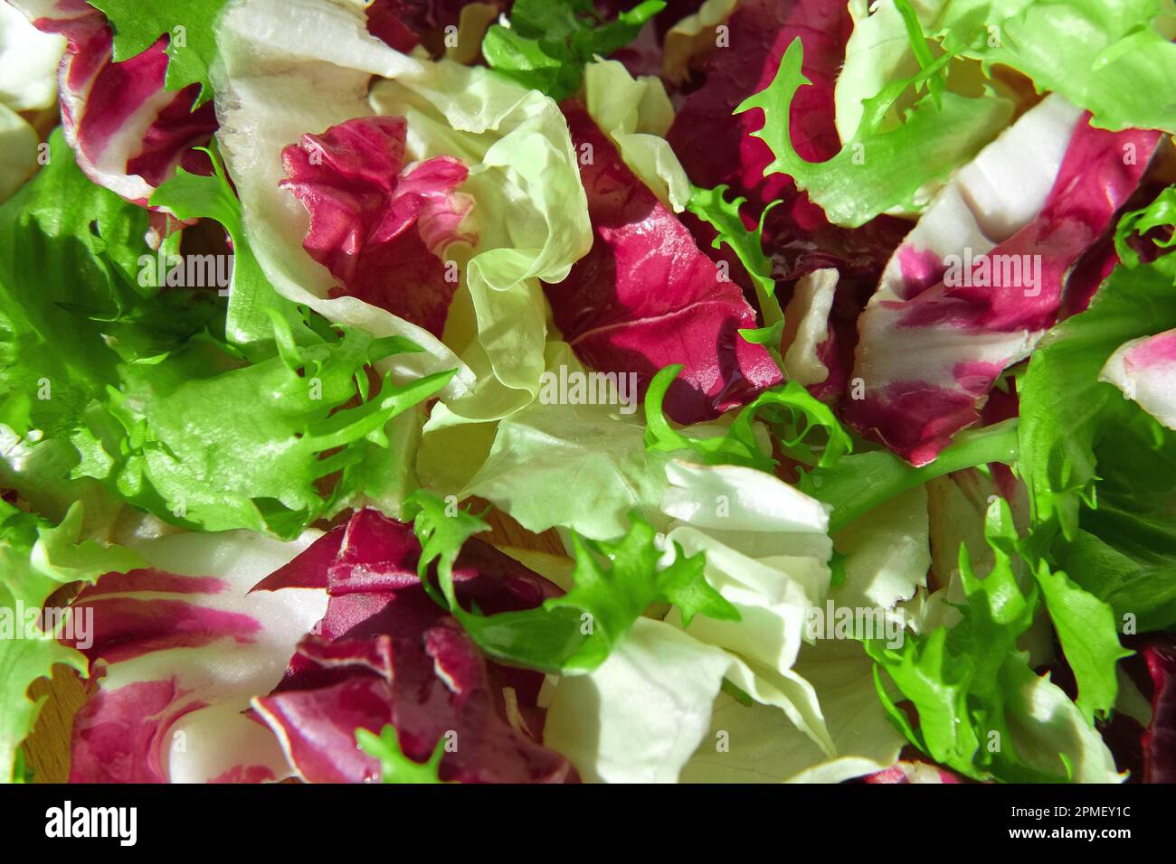 Fresh mixed salad field greens piled closeup top view. Various ...