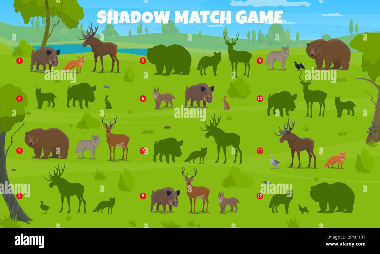 Shadow match game. Find similar silhouette of forest animals and birds ...