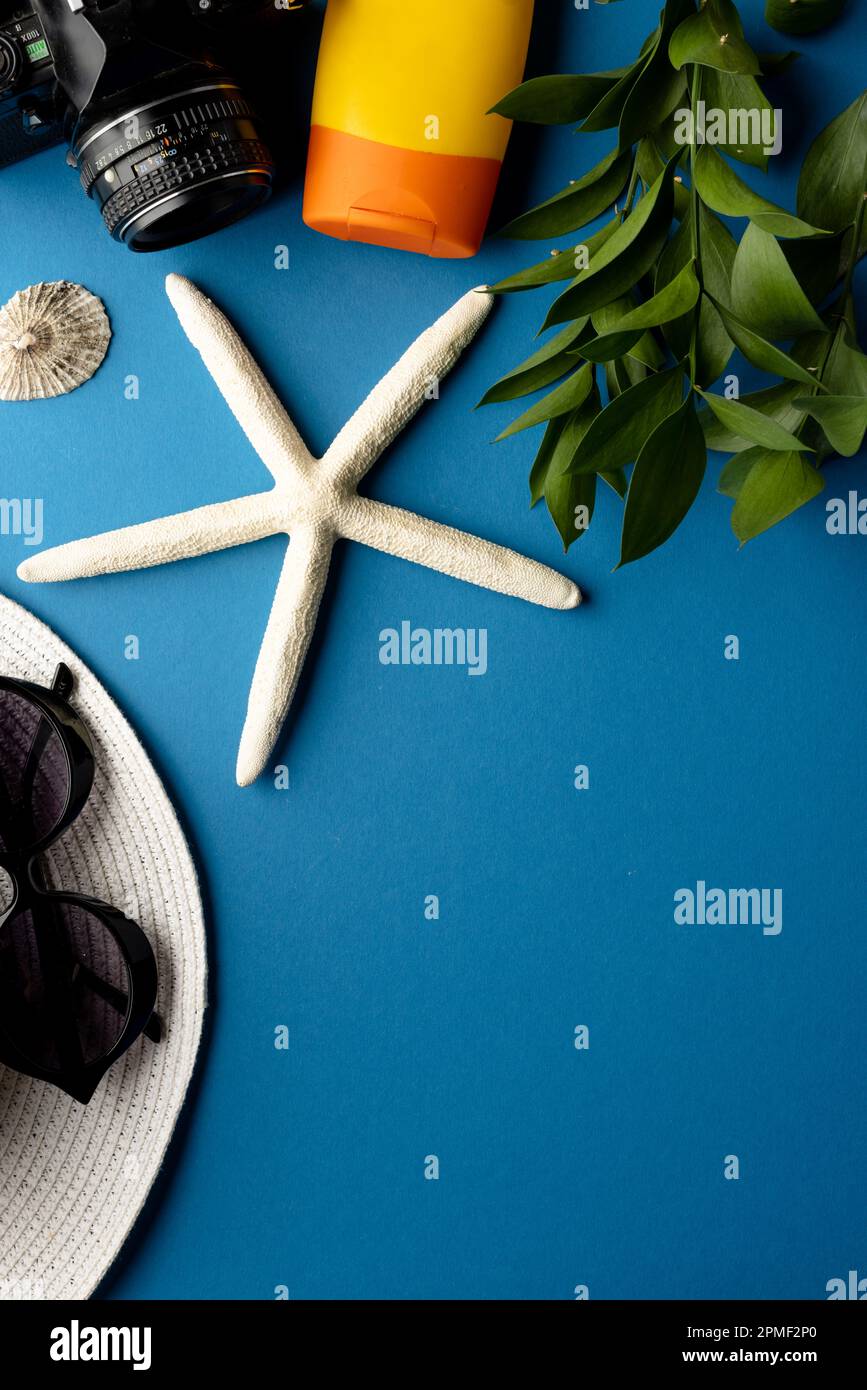 Straw hat, sunglasses, camera, sunscreen, plant and seashells on blue ...