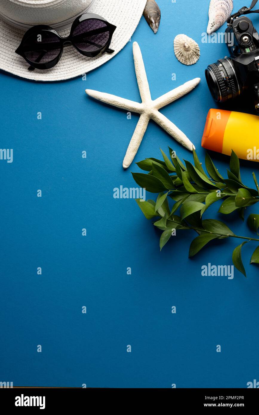 Straw hat, sunglasses, camera, sunscreen, plant and seashells on blue ...