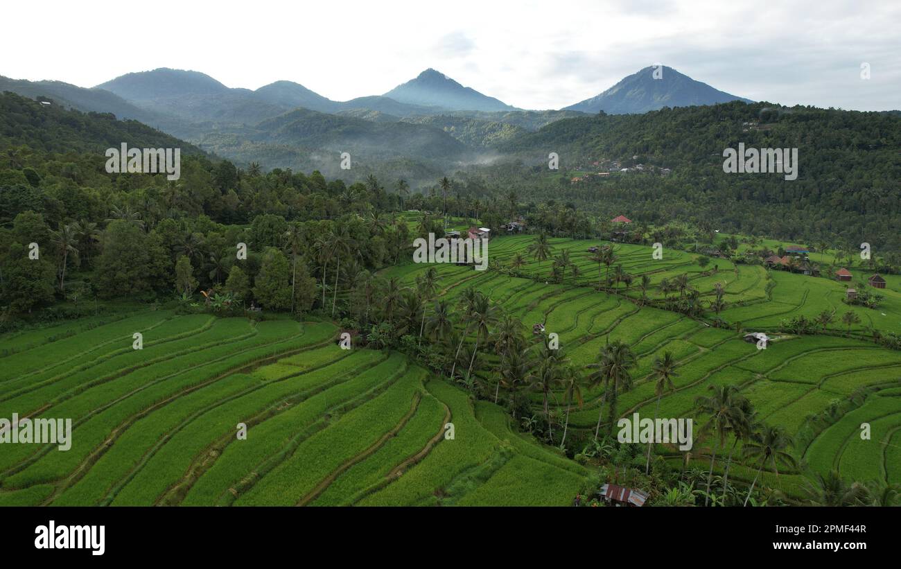 Aerial sawah hi-res stock photography and images - Alamy