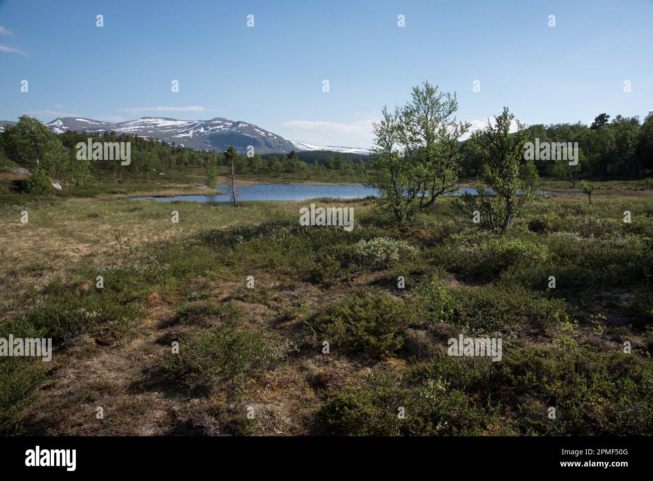 Hulderstigen is an easy trail crossing Sjoa river towards Stuttgonglia ...