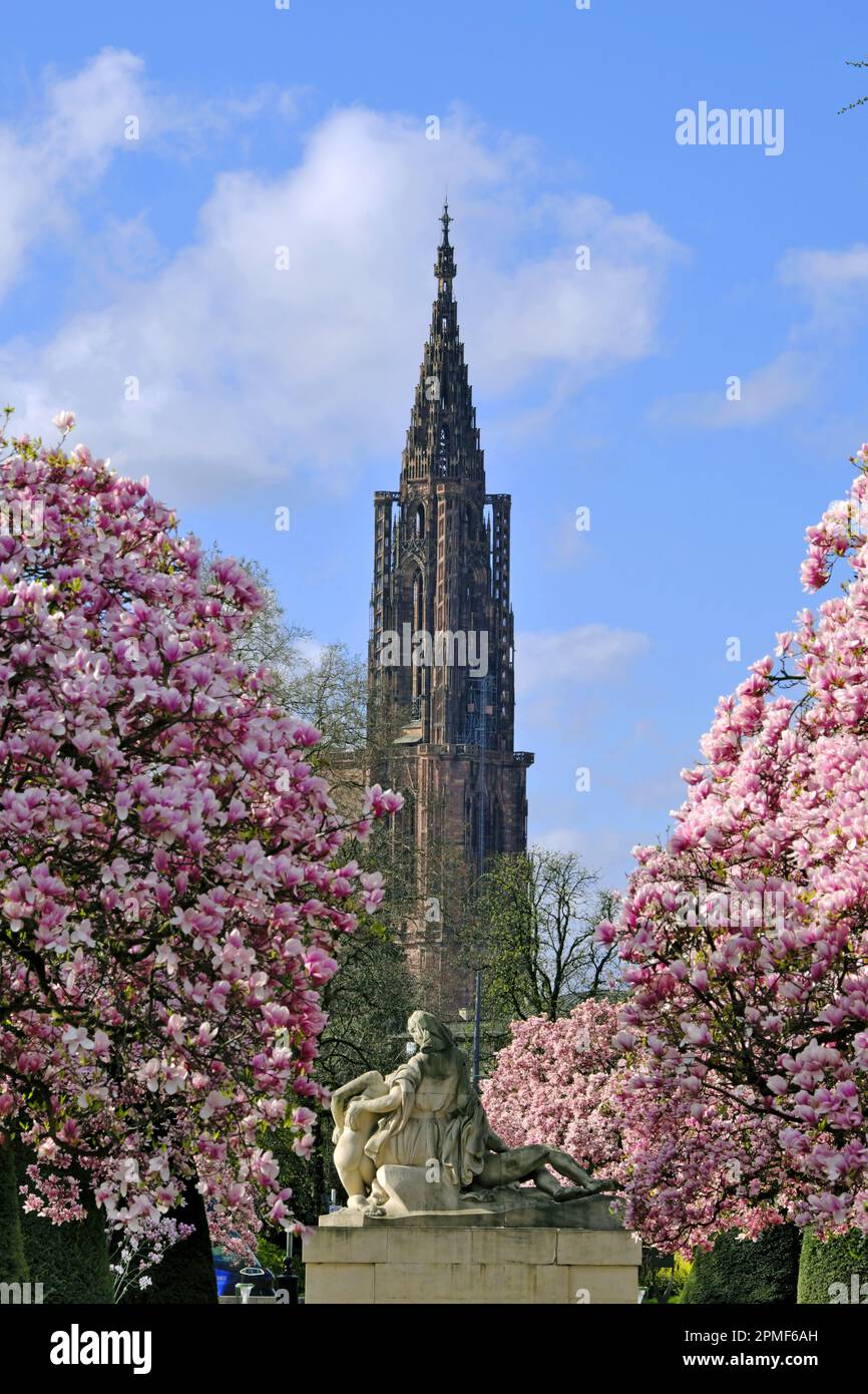 France, Bas Rhin, Strasbourg, Neustadt listed as World Heritage by ...