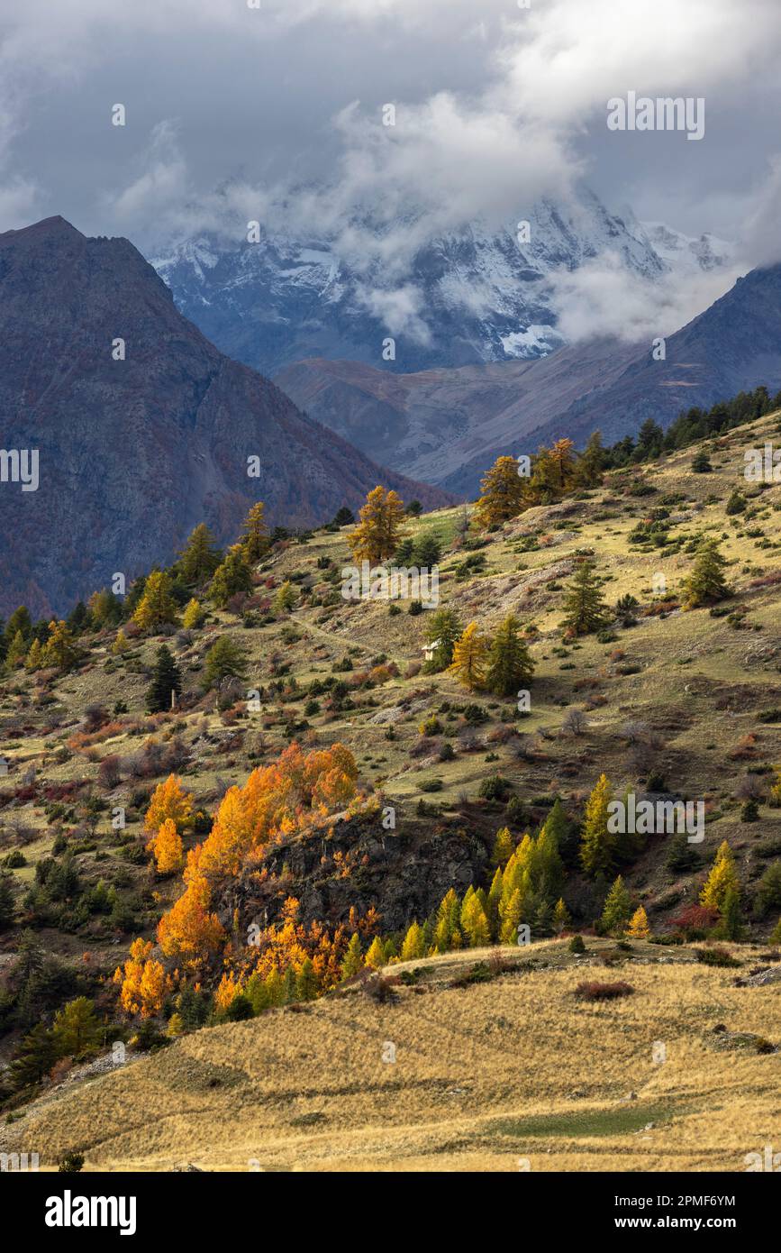 France, Hautes-Alpes, Col du Granon (2404 m), seen from the Ecrins ...