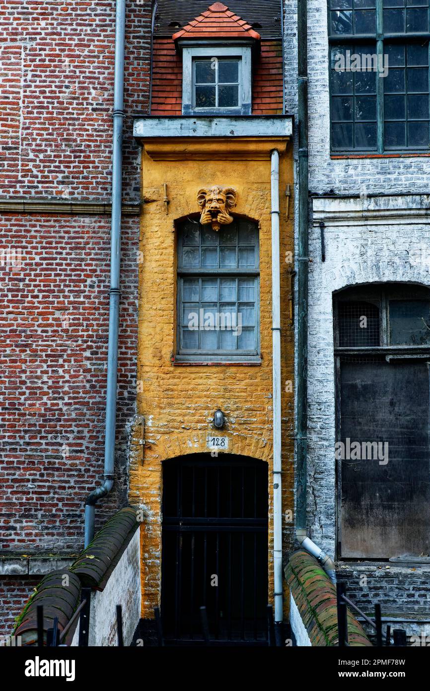 France, Nord, Lille, district of the Notre-Dame de la Treille cathedral ...