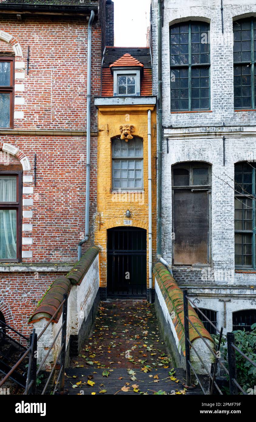 France, Nord, Lille, district of the Notre-Dame de la Treille cathedral ...