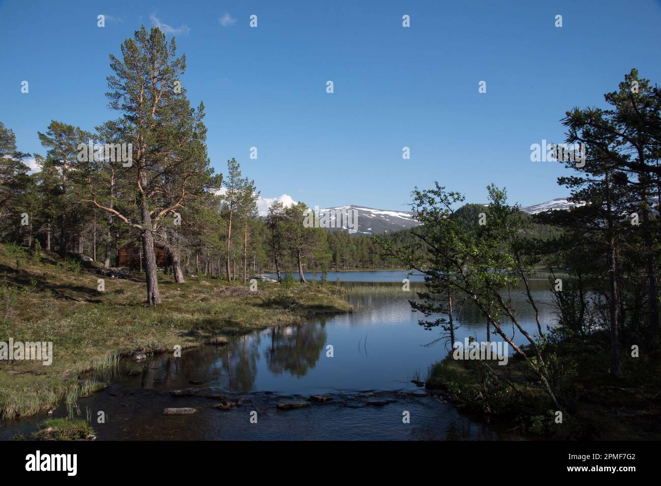 Hulderstigen is an easy trail crossing Sjoa river towards Stuttgonglia ...